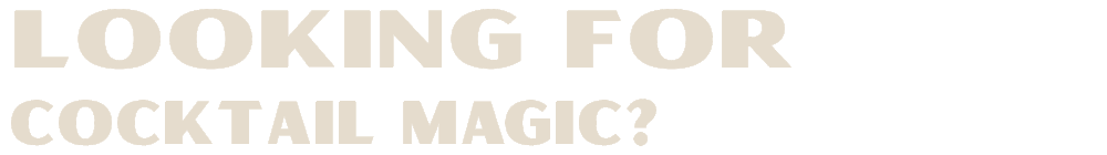 Mark Clearview | Best magic show in NYC!