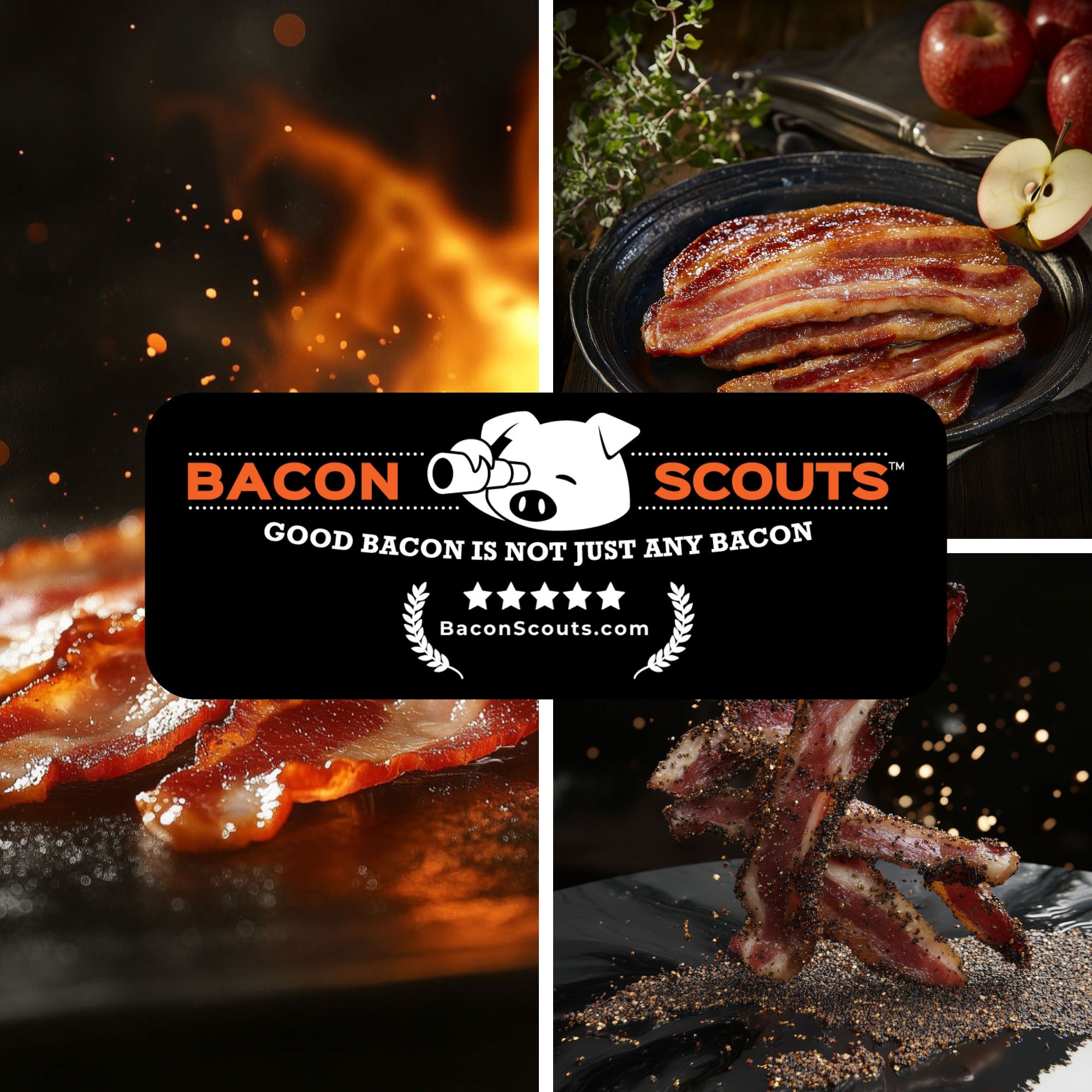Bacon Scouts