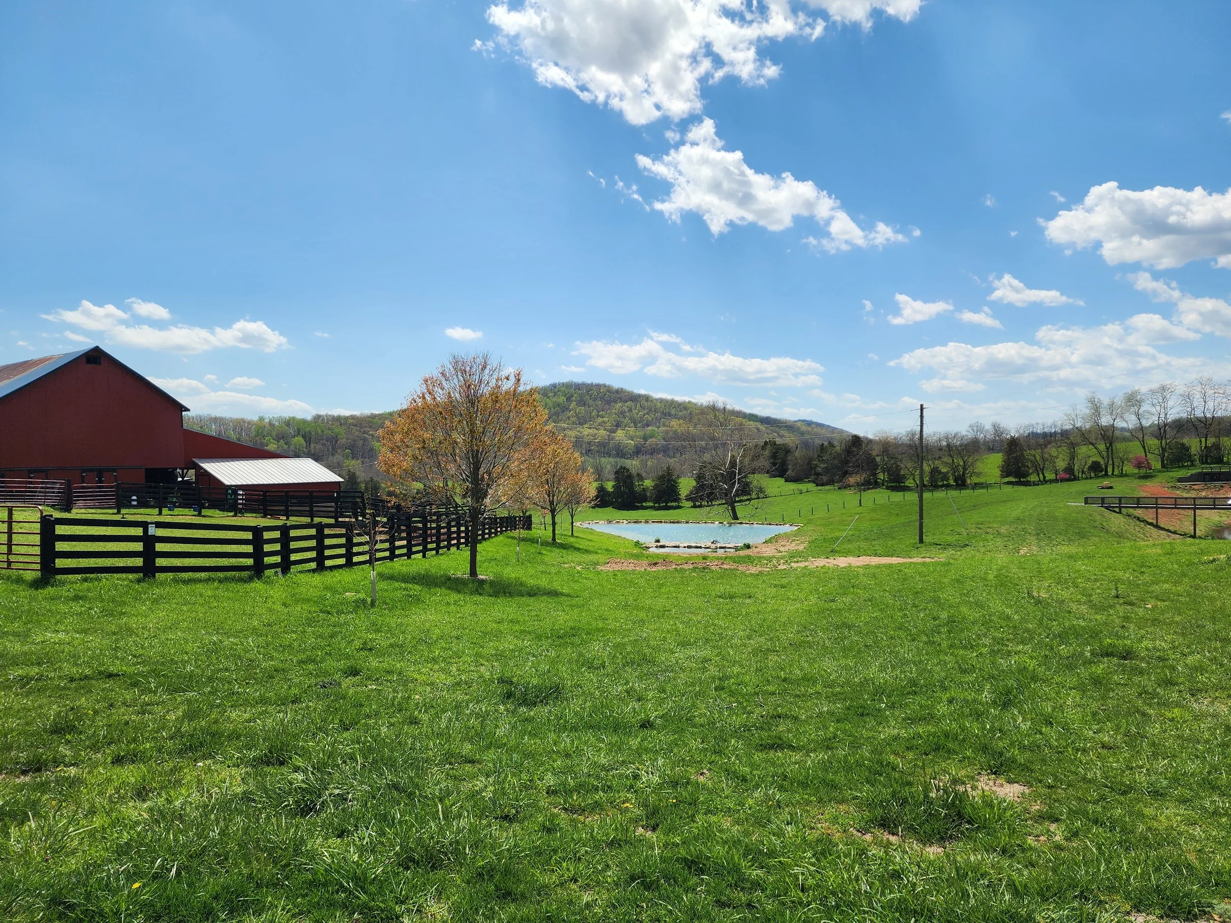 Zion's Farm | High-Quality Meats | Pasture-Raised | Grain-Finished ...