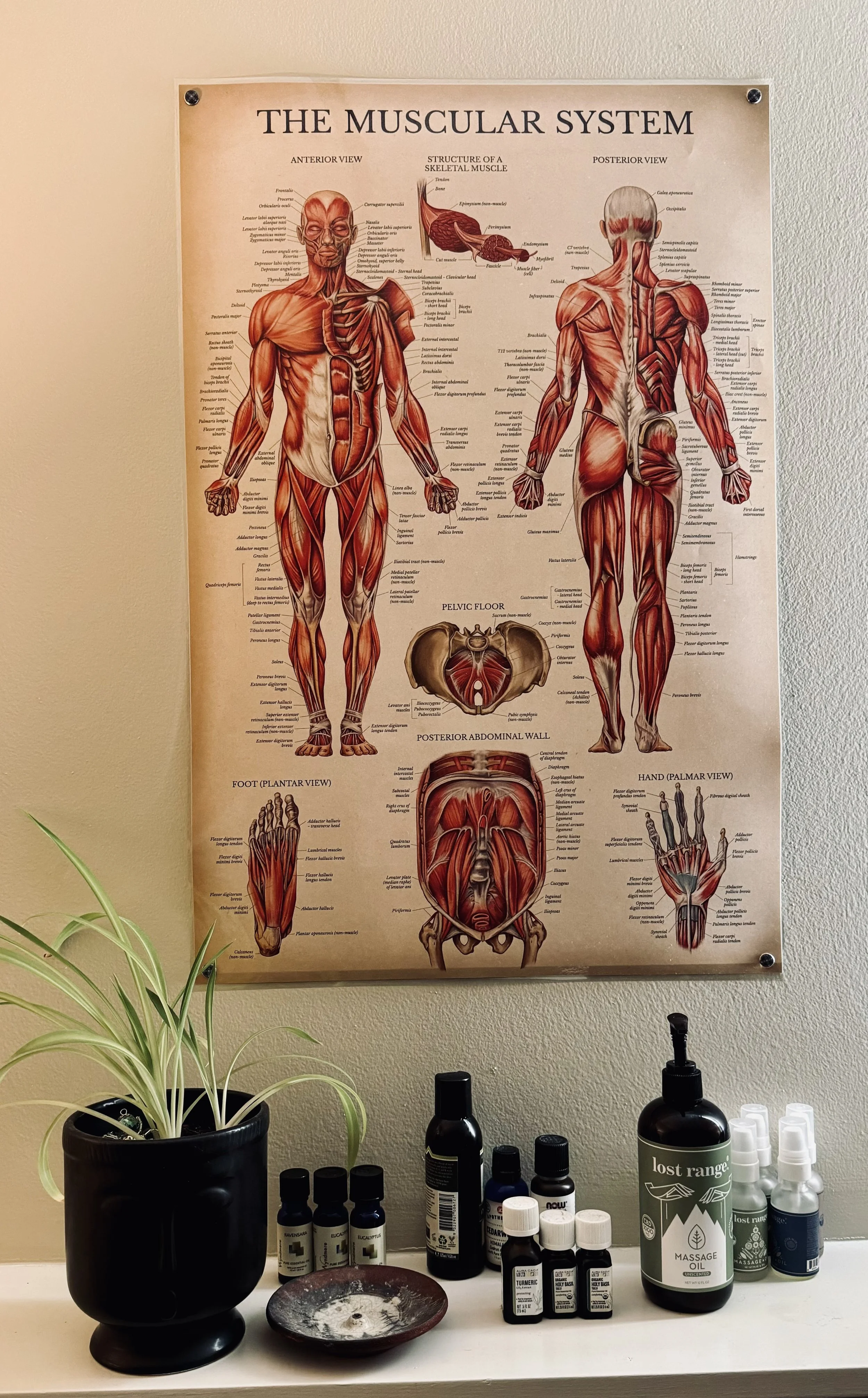 Elementum Massage in Billings, Montana | Kyle Buffington, LMT