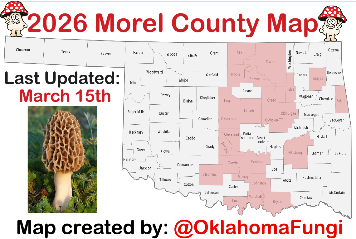 2026 Oklahoma Morel Mushroom Sighting Foraging Map — Oklahoma Fungi