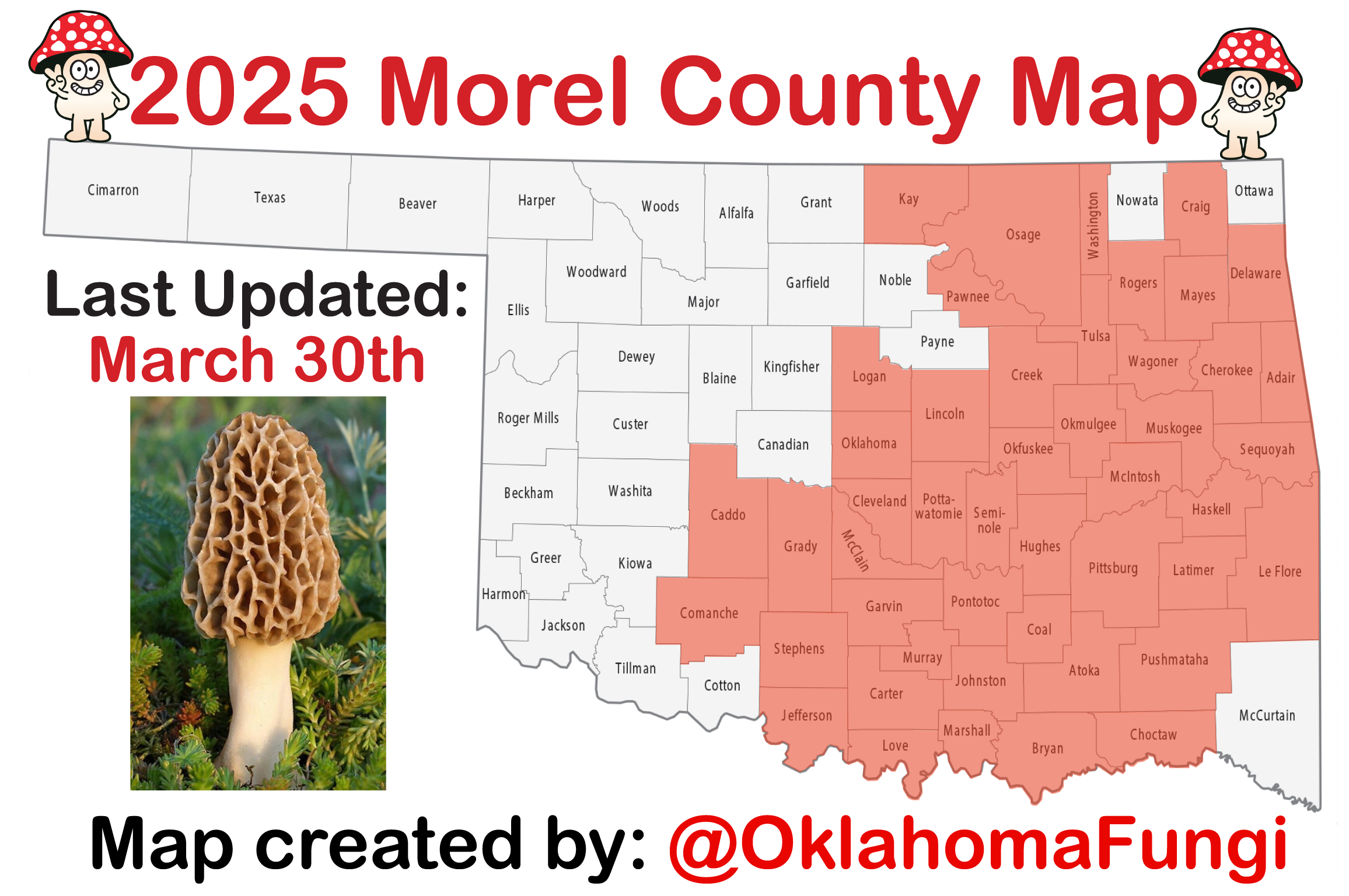 Oklahoma Morel Mushroom Foraging Information — Oklahoma Fungi