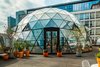 THE DOME