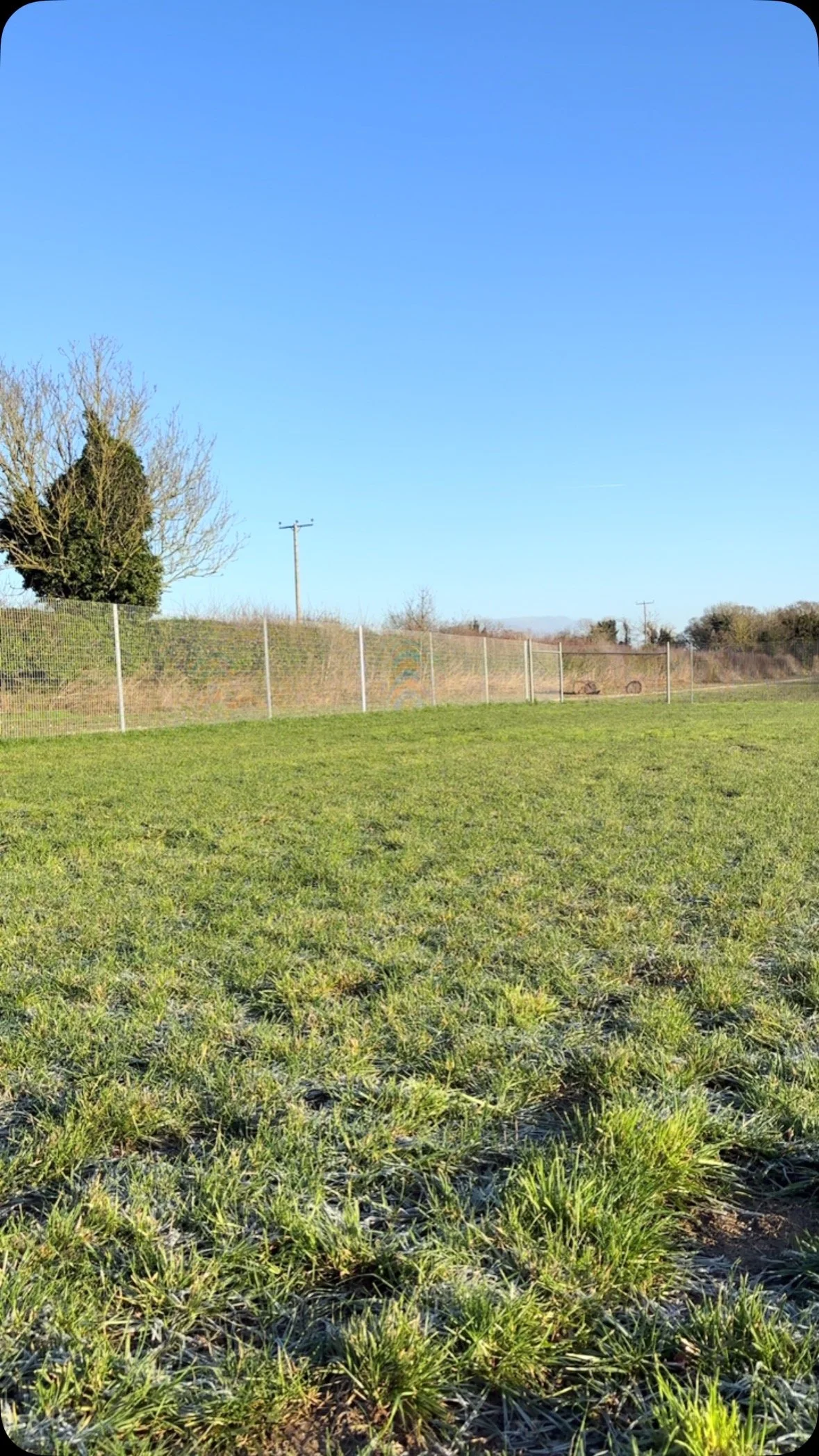 Peddars Paws: Enclosed Dog Walking Field for Hire – Near Thetford