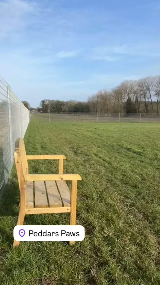 Peddars Paws: Enclosed Dog Walking Field for Hire – Near Thetford