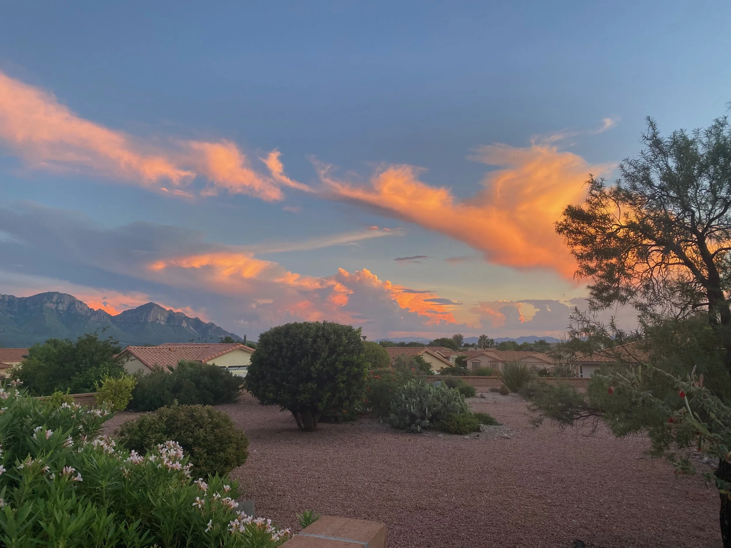 News — Sun City Oro Valley CREW