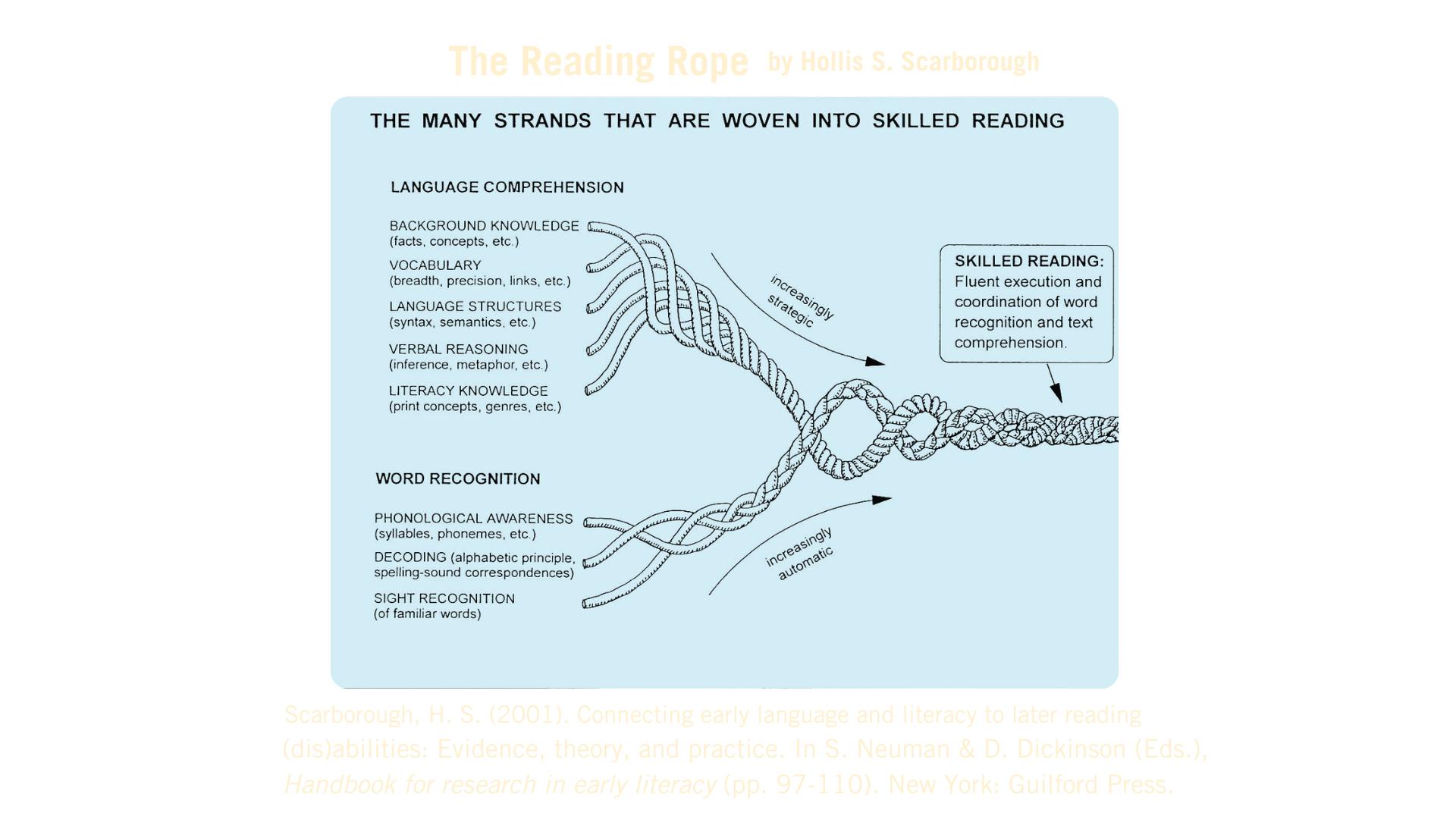 The Reality of Providing Effective Reading Instruction — The Need to Read