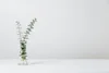 ASHLEY ABBS STUDIO | Discover Inner Balance Today