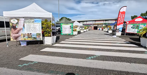 Puerto Limon, Costa Rica - Cruise Port Guide — The Port Lowdown