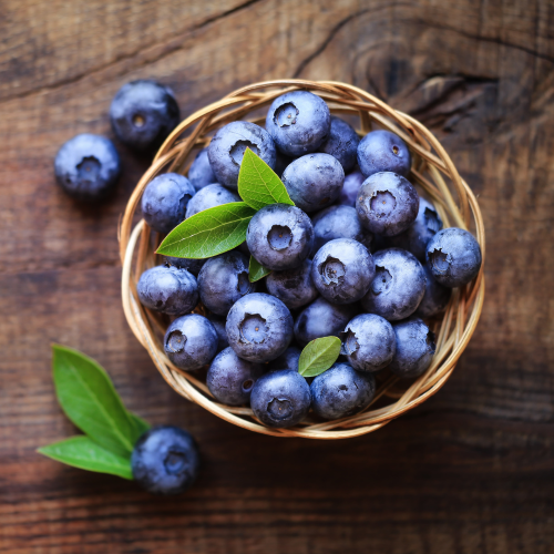 Should Dogs Eat Blueberries? Benefits, Risks and the Truth About Their ...