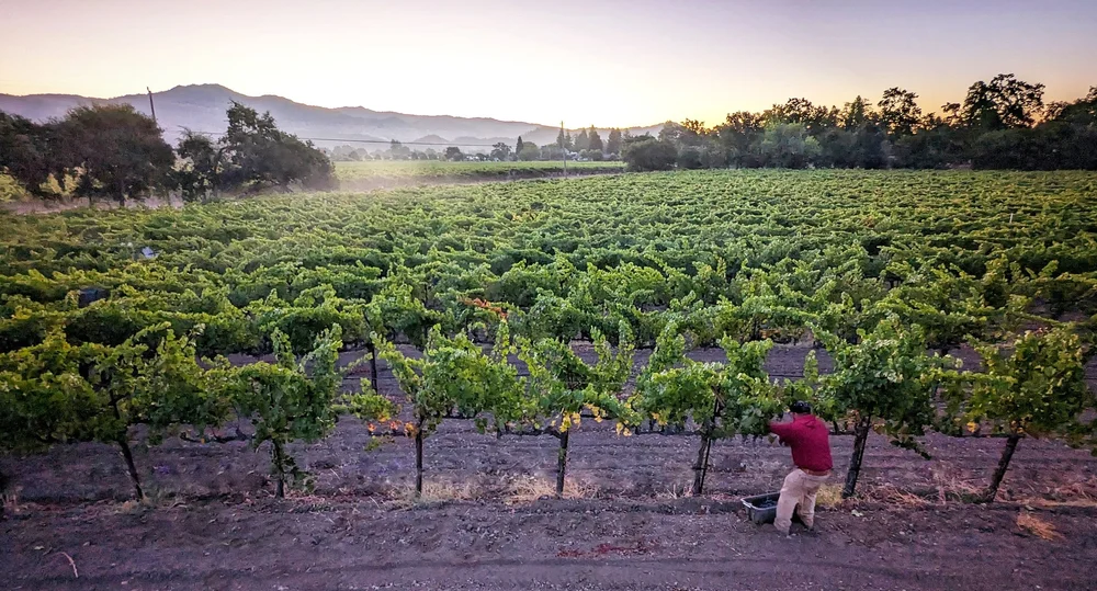 Ghost Block | Discover Napa’s Classic Cabernet Today — Old-School Napa Cab