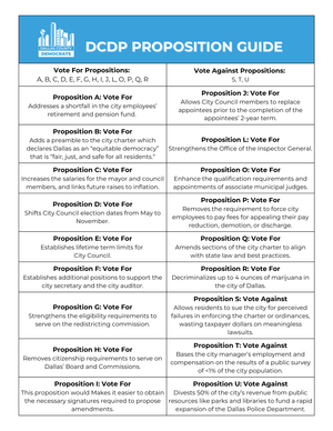 DCDP Voter Guide For The People