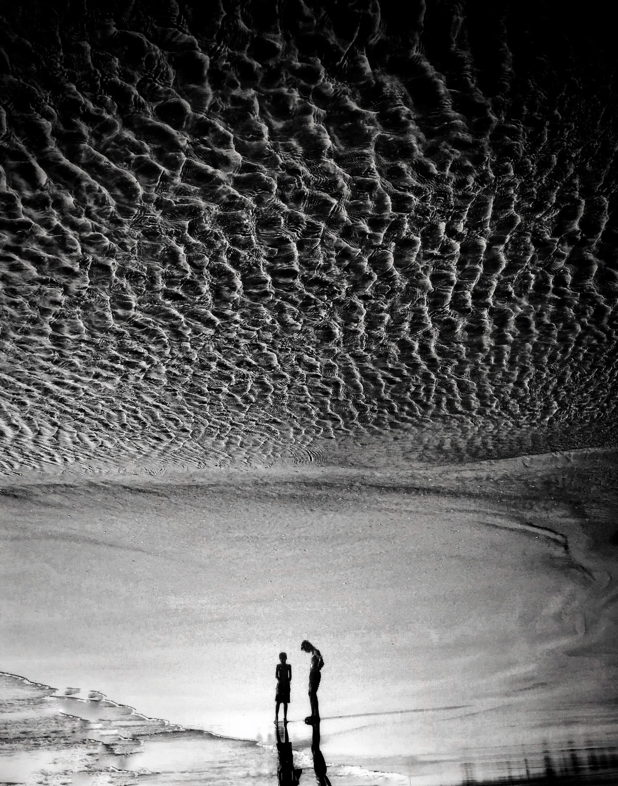 MARK FEARNLEY