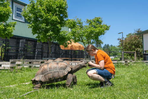Volunteer — The Creature Conservancy