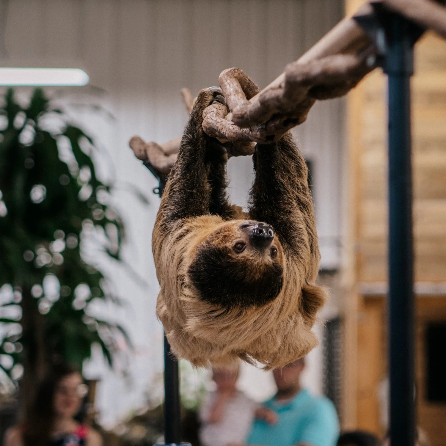 Open Hours — The Creature Conservancy