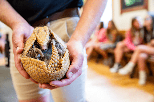 School Trips — The Creature Conservancy