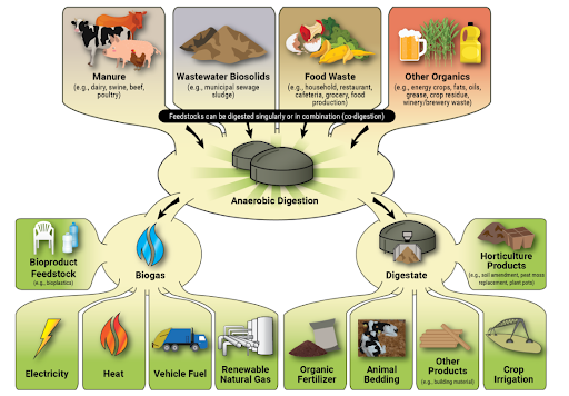 Anaerobic Digestion — Ecoco Solutions