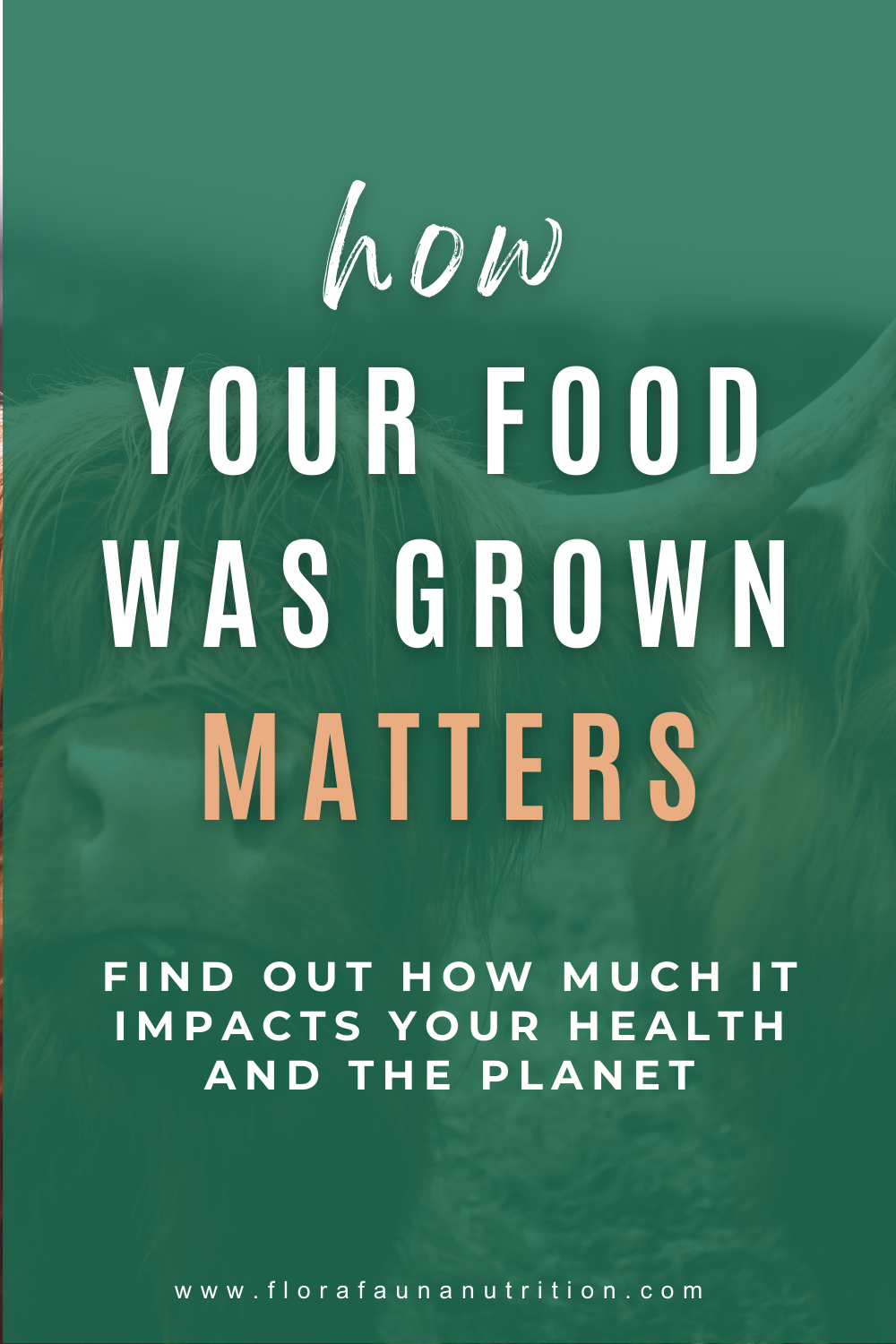 Why It Matters How Your Food Was Made — Flora & Fauna Nutrition