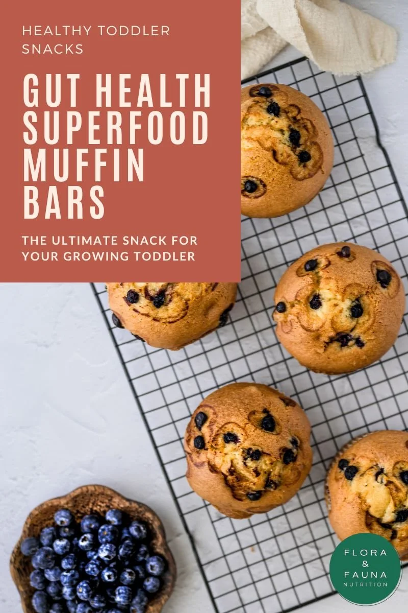 Healthy Toddler Snack: Gut-Healthy Superfood Muffin Bars — Flora ...
