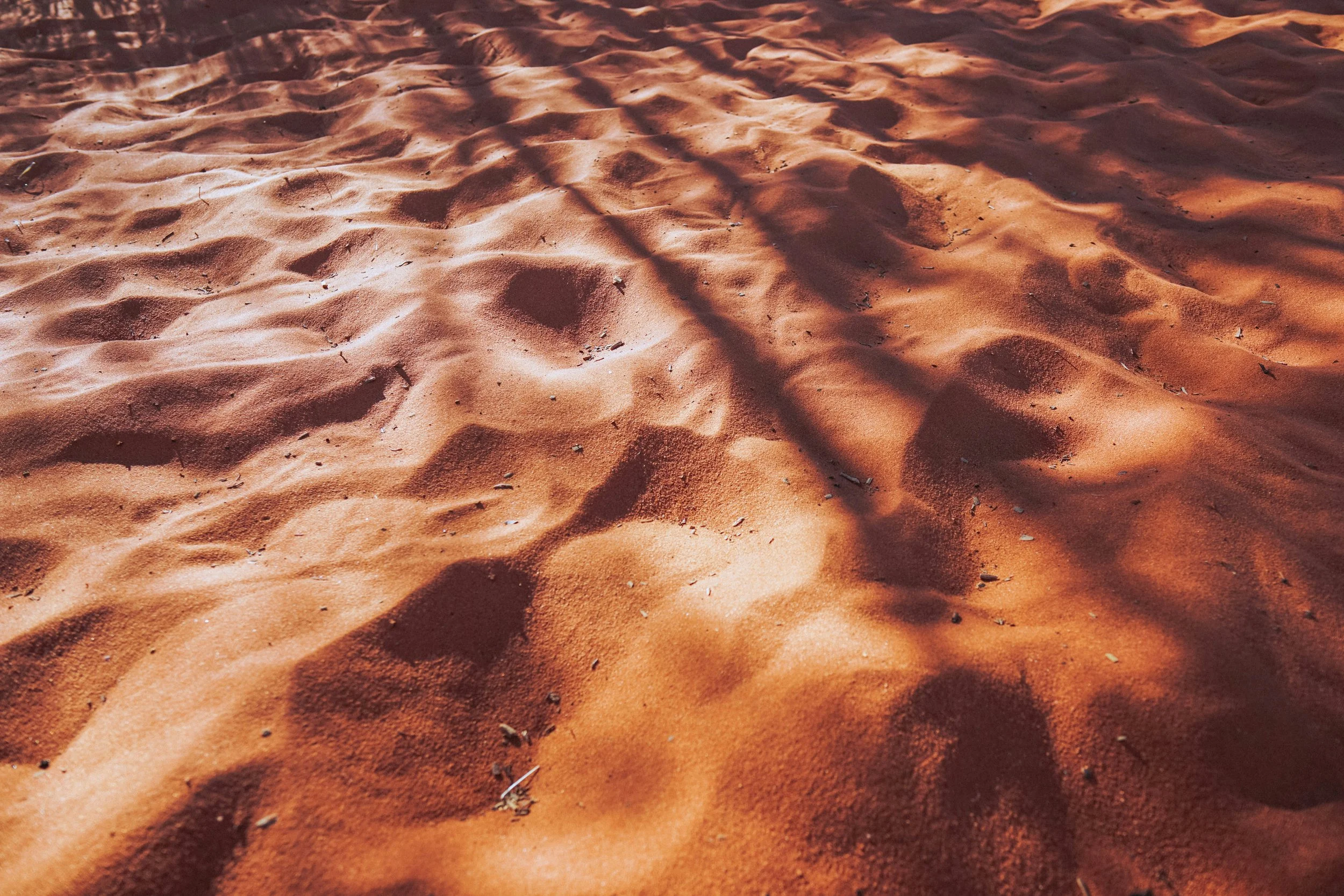 Social Justice — Indigenous Peoples' Organisation-Australia