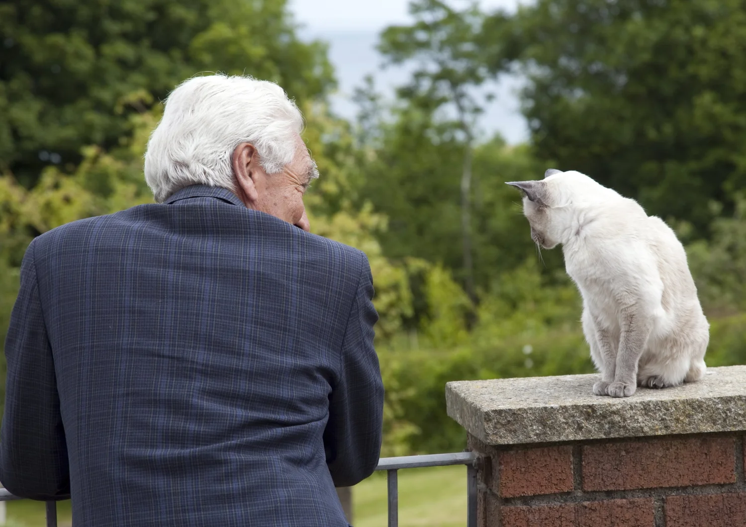 Bascombe Court - Residential Care Home in Brixham — Devon Care Group
