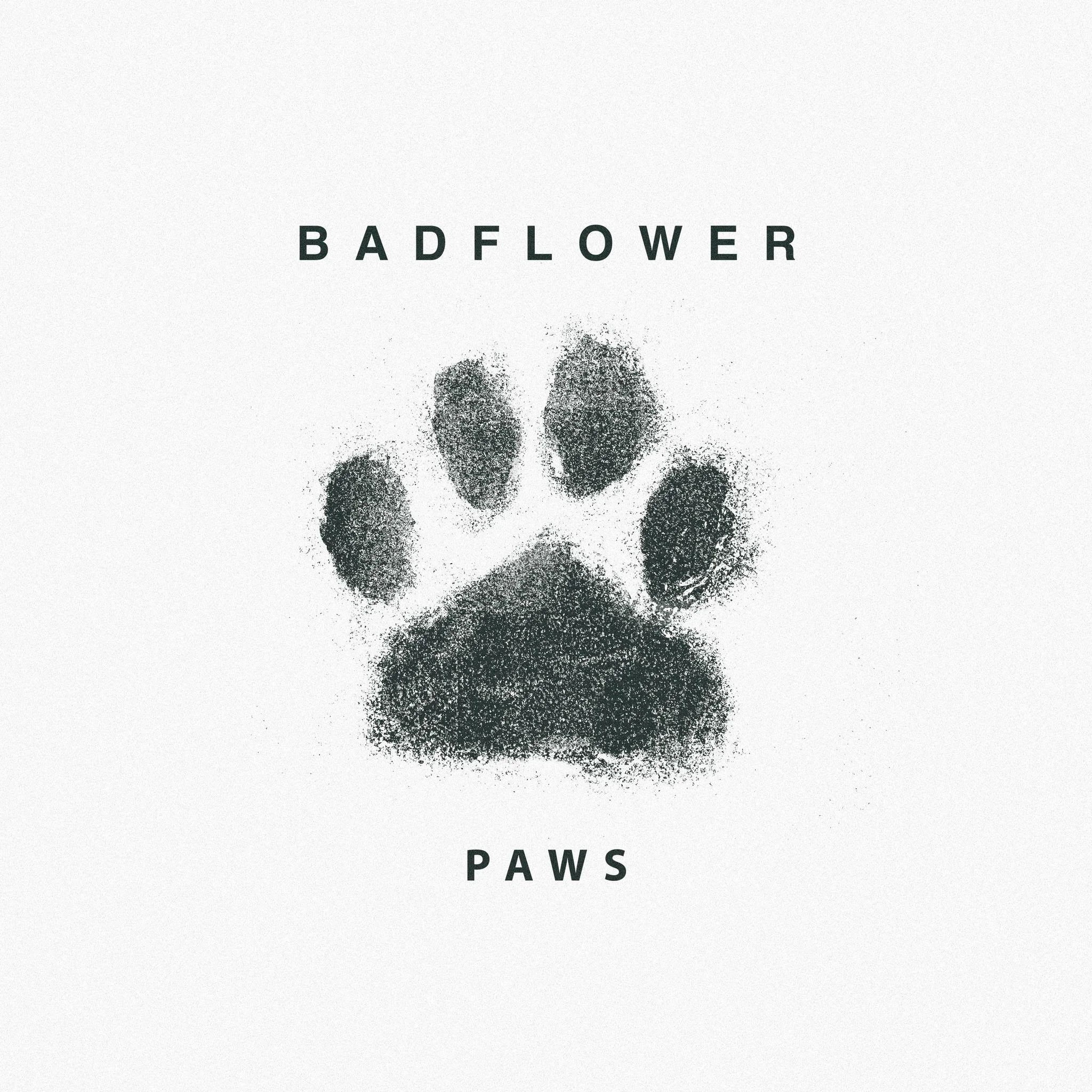 BADFLOWER RELEASES NEW SINGLE “PAWS” TO HONOR DEPARTED PETS - NO PLACE ...