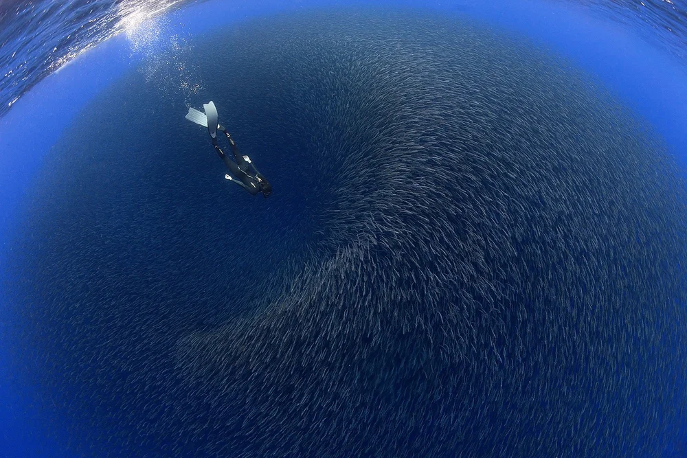 About — OCEANS 2050