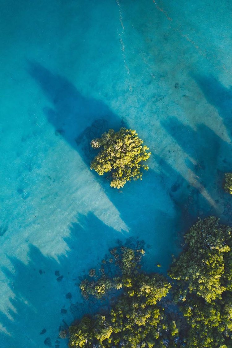 OCEANS 2050