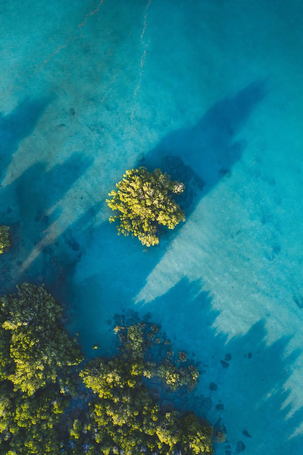 OCEANS 2050