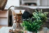 Brew-tiful Mornings: 5 Must-Visit Coffee Shops in Naples — Naples Days ...