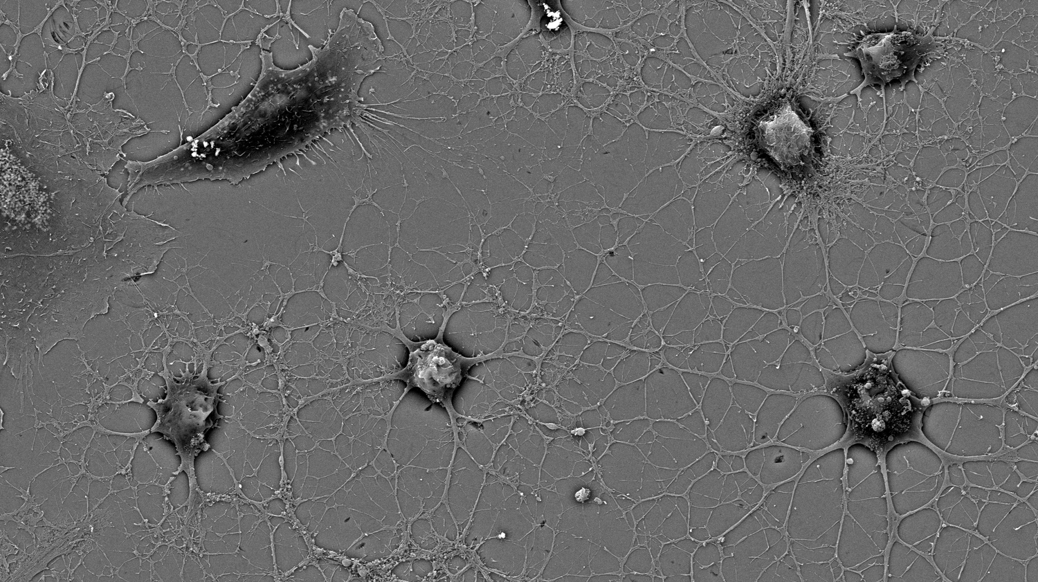 Lawrence Lab At Ucla