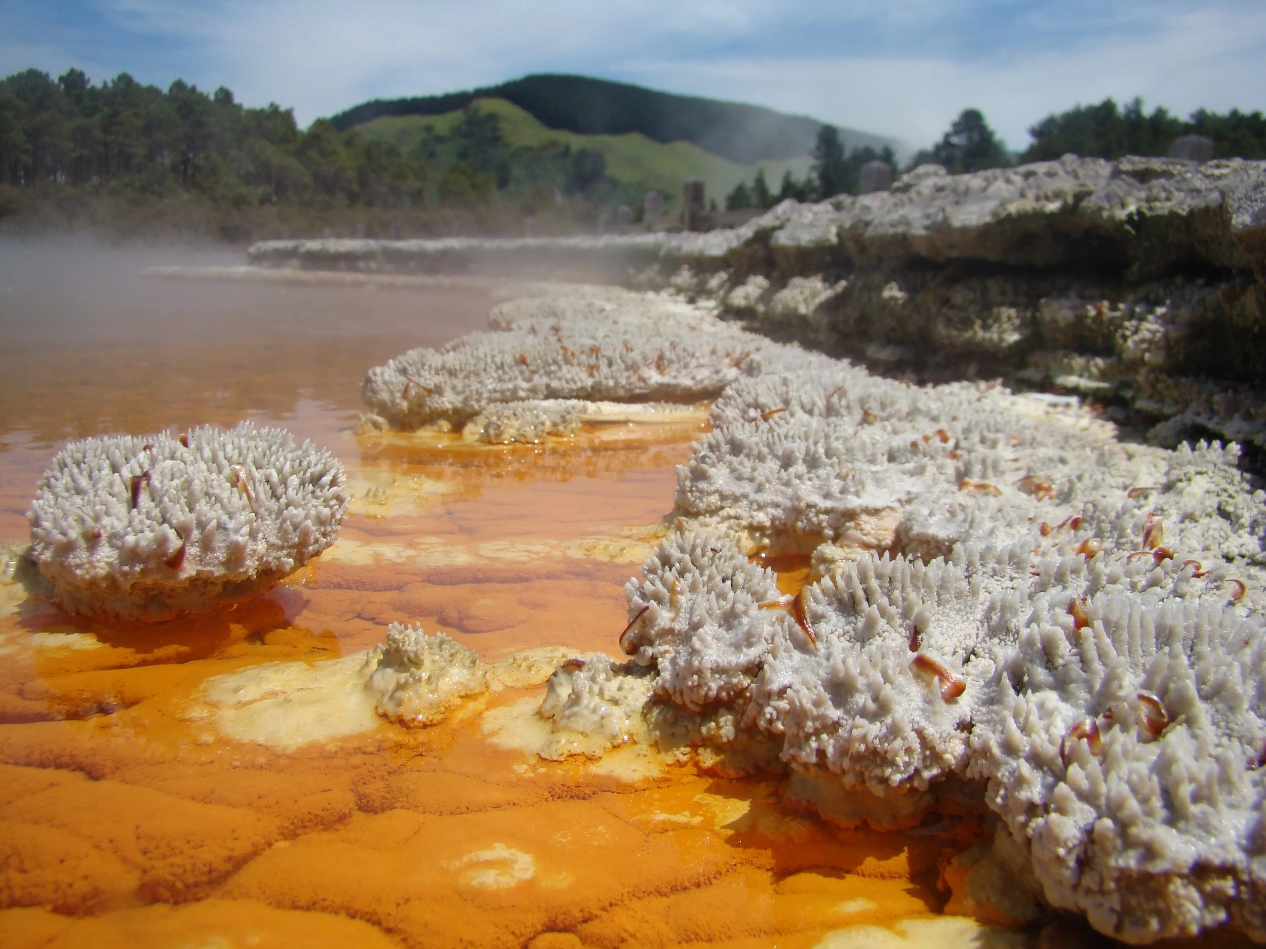 Geothermal Heating & Cooling — IEA Geothermal | International Energy ...