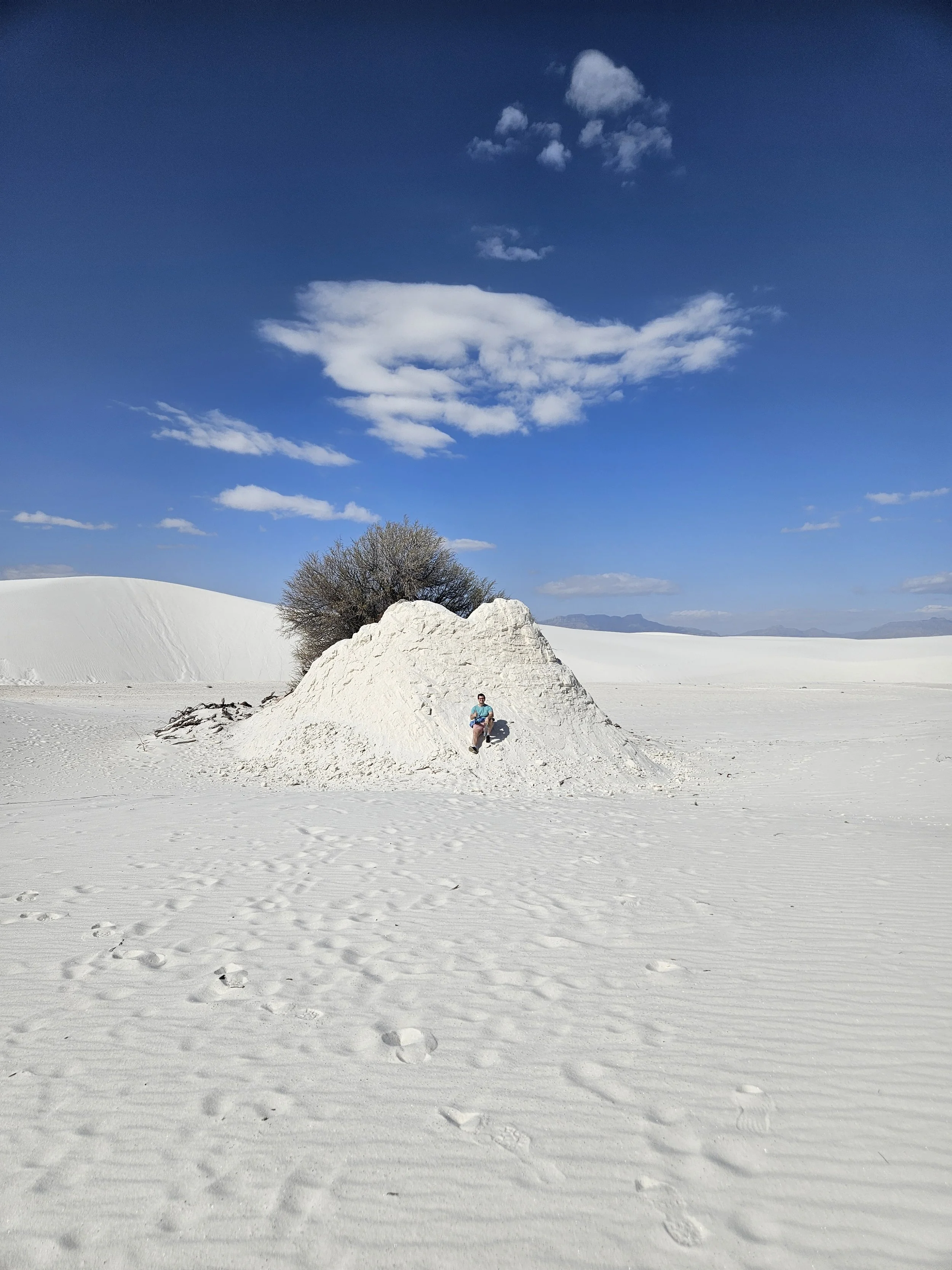 Research/CV — R.T.F. Downes