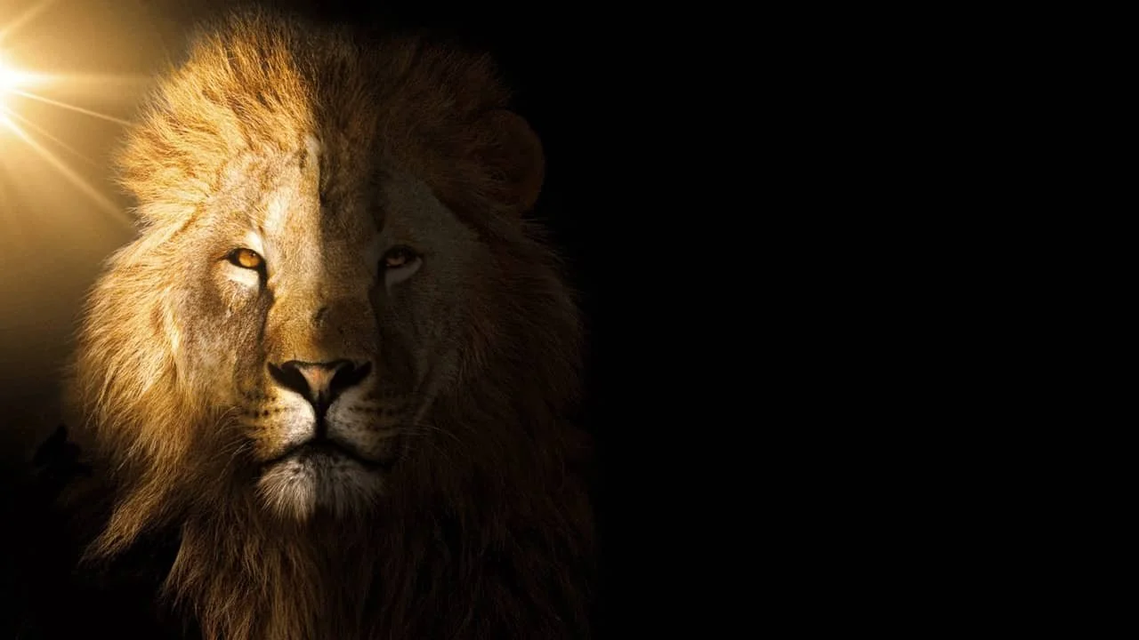 Online Store - Luxury Grooming for All - Unleash the King Within at ...