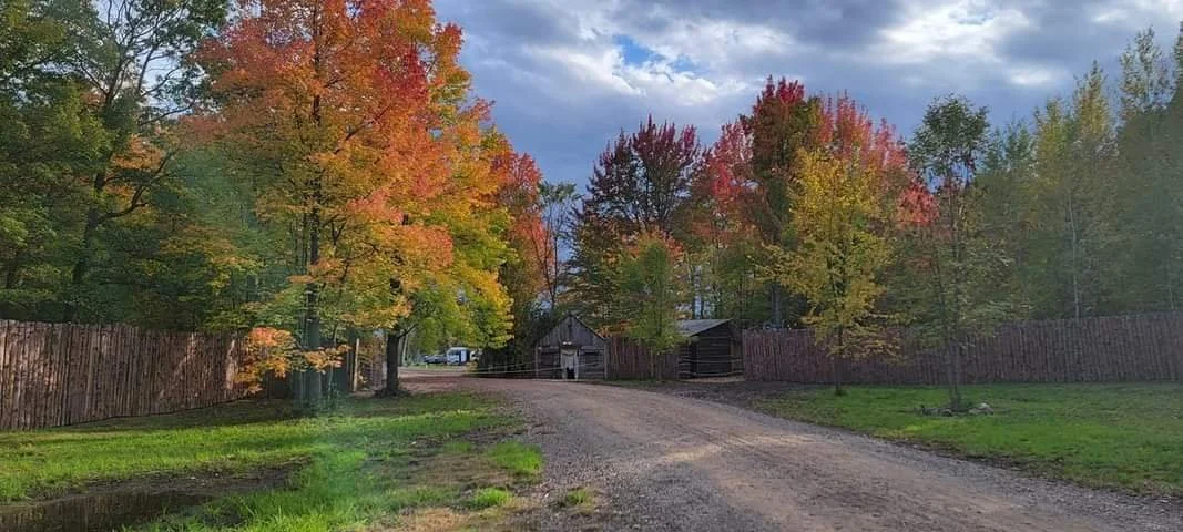 Services/Amenities — Ringler Family Campground