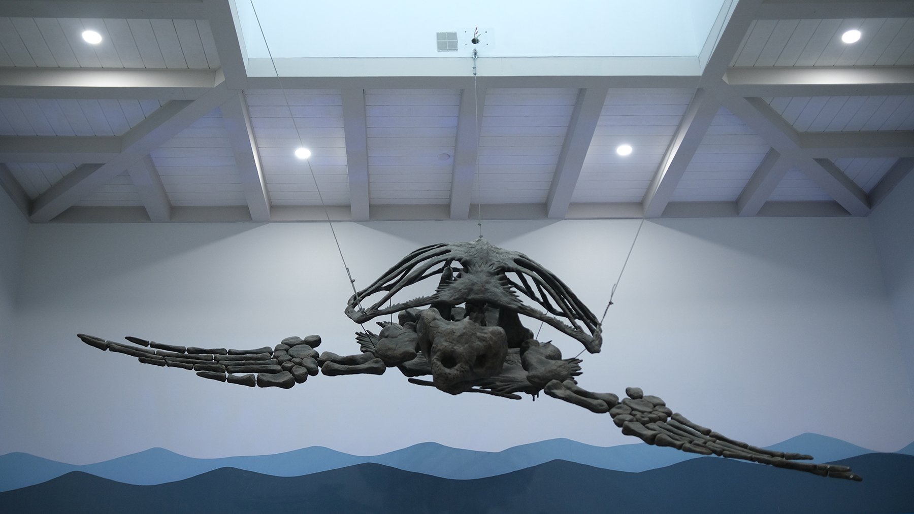 Guest Services Department — Loggerhead Marinelife Center Volunteer Portal