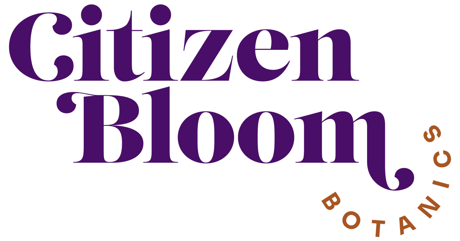 Citizen Bloom Botanics | Branding and Packaging for CBD Skin Care ...