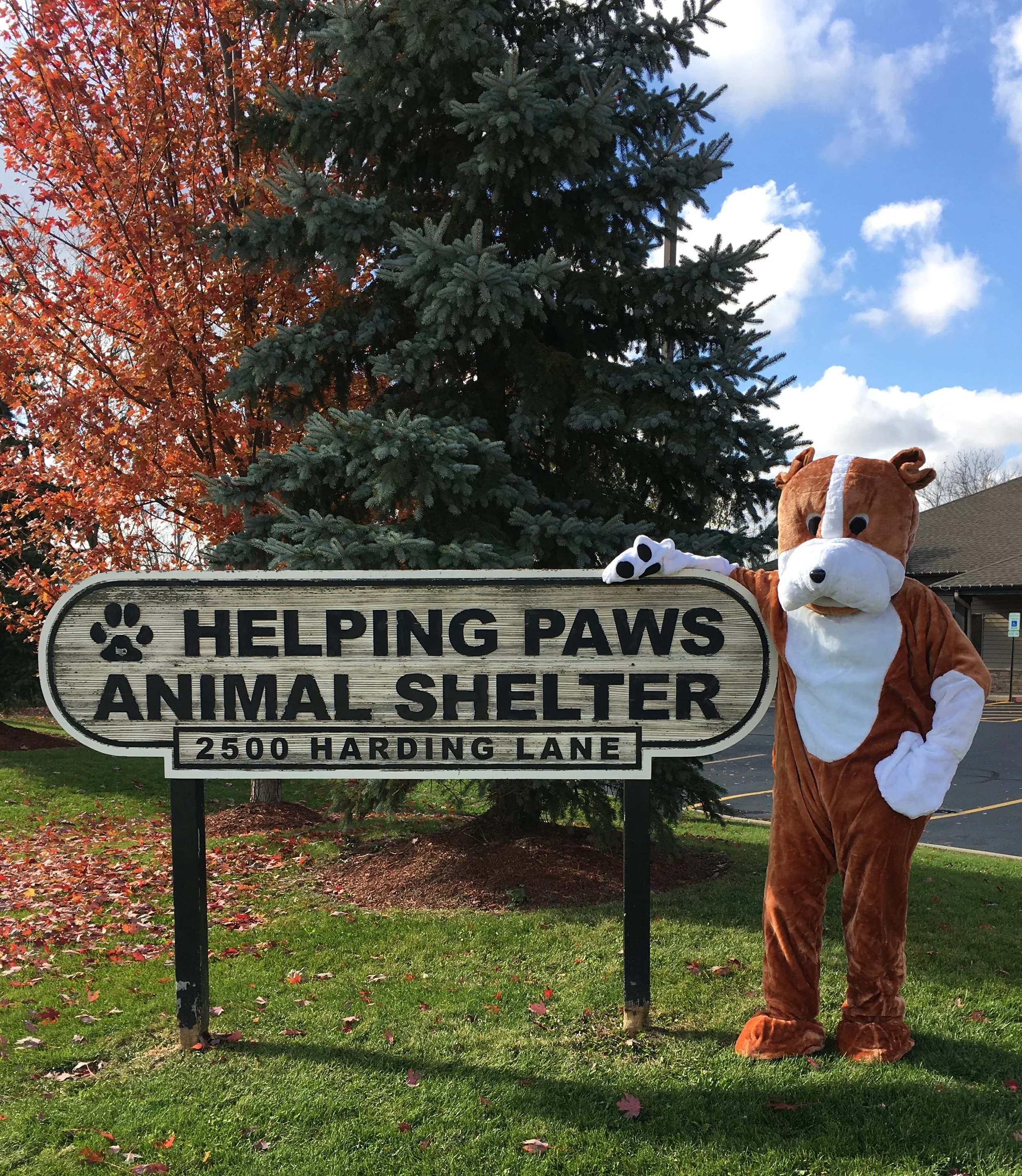 About 1 — Helping Paws