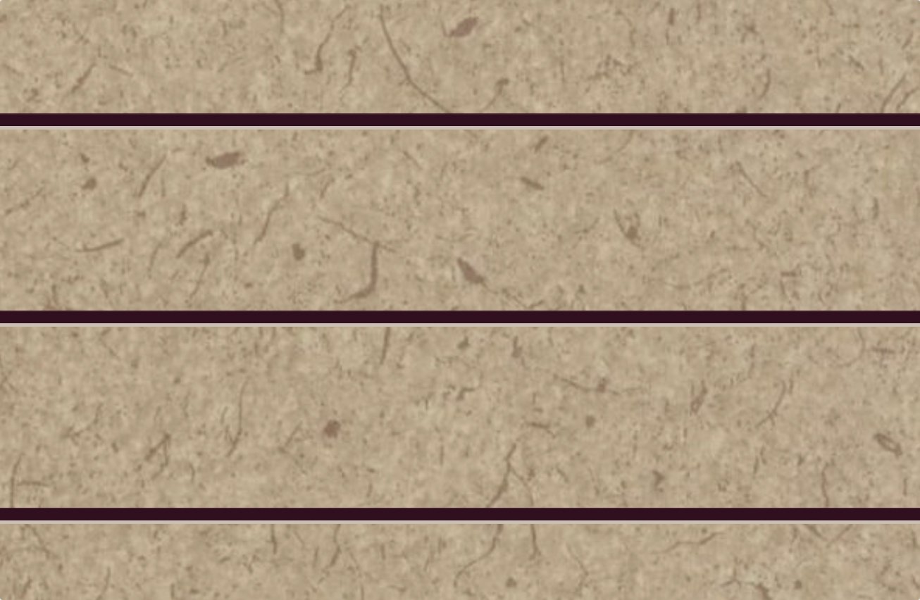 Buy HPL Slatwall & Oak Slatwall | Durable & Stylish Wall Panels — Spacewall