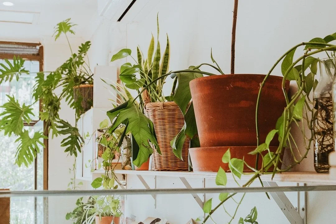 Habitat Cafe