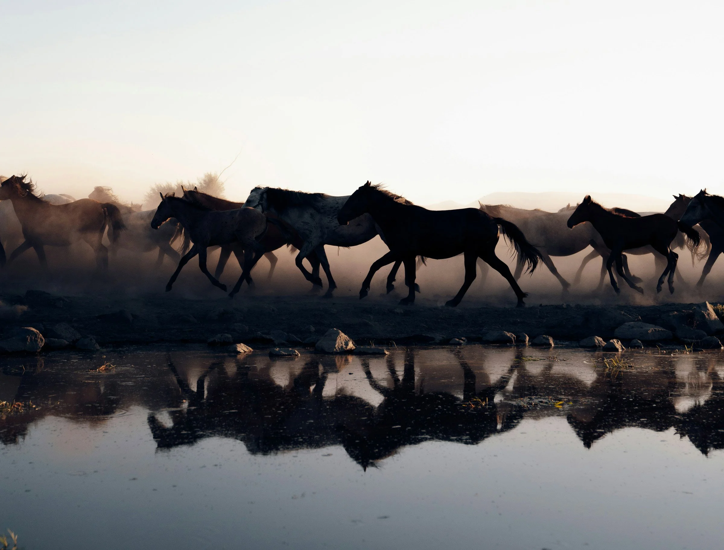 EIL Team — The Barn Underwriting Agency | Australia