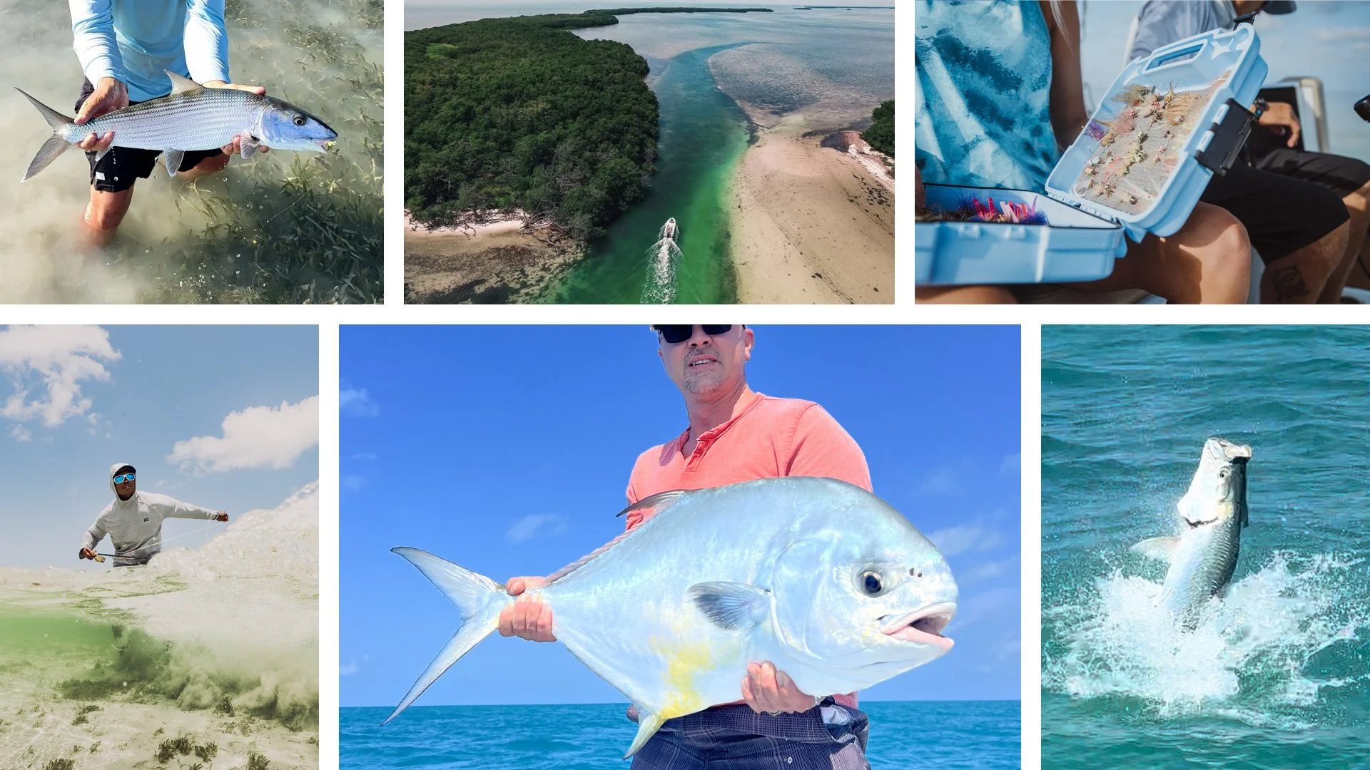 Fly Fish For Tarpon in Key West, The Everglades, And Apalachicola
