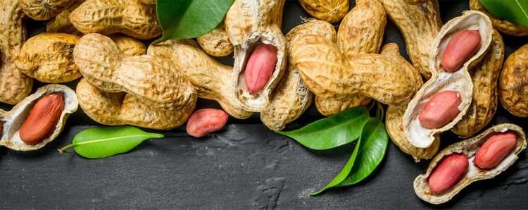 Valencia Peanuts — Eastwind Nut Butters