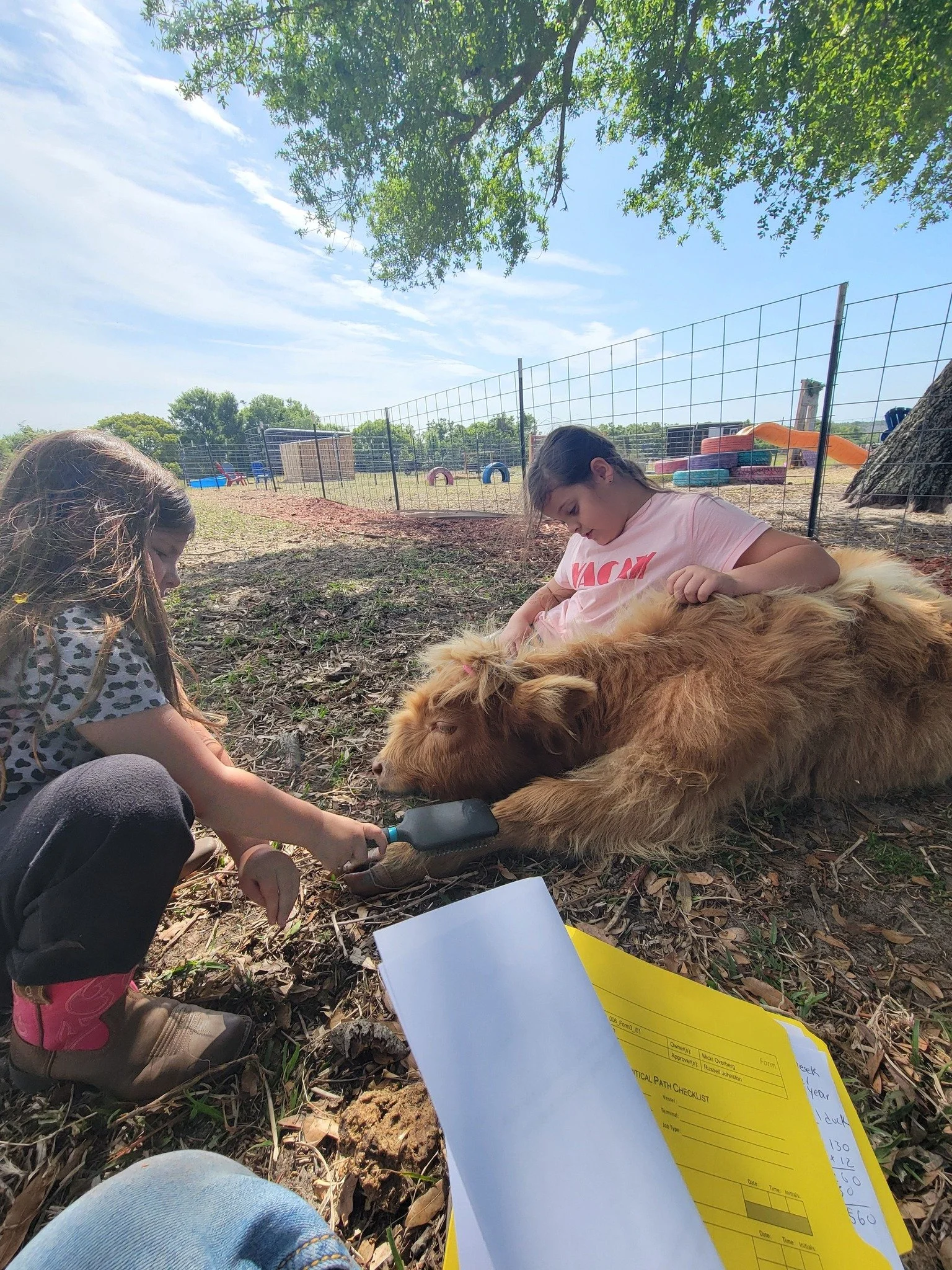 Farm School Central Florida — Violette Hill Hay Farm