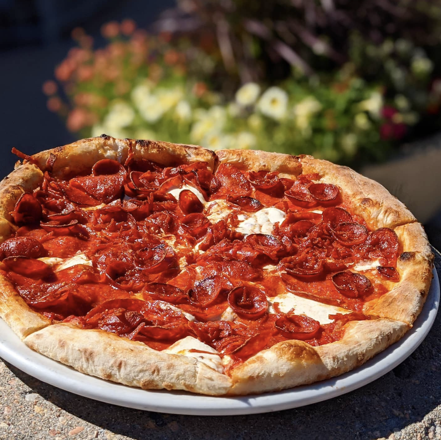 Pizza Republica — Landmark DTC