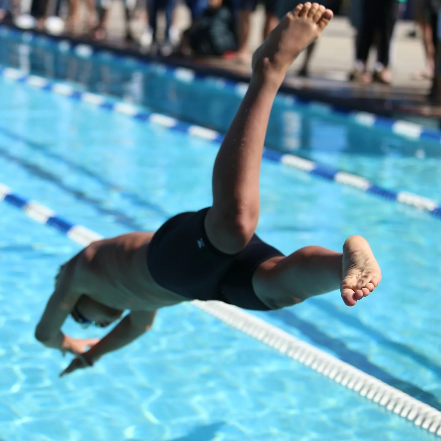 Sting Rays Swim Team — Columbia City Parks and Recreation