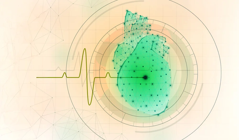 Echocardiography Lessons — The Echo Journal