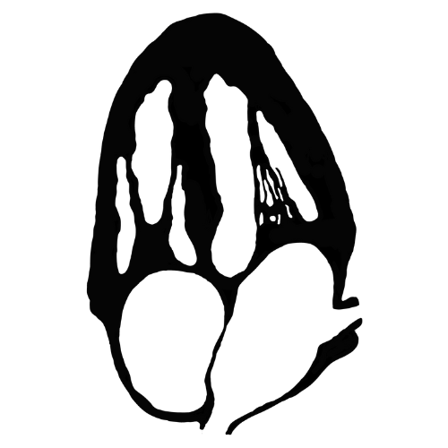 Adult Echocardiography Board Exam Prep — The Echo Journal