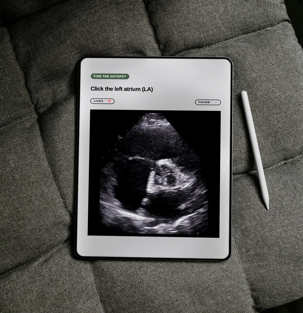 Adult Echocardiography Board Exam Prep — The Echo Journal