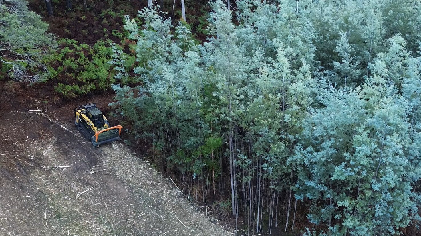 Mulching Tasmania , Specialist vegetation management , Forestry ...